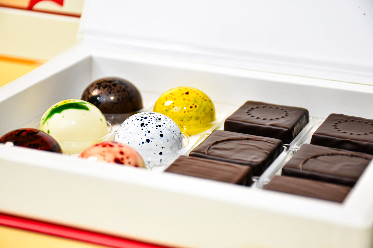 United Flavors – where taste and adventure unite